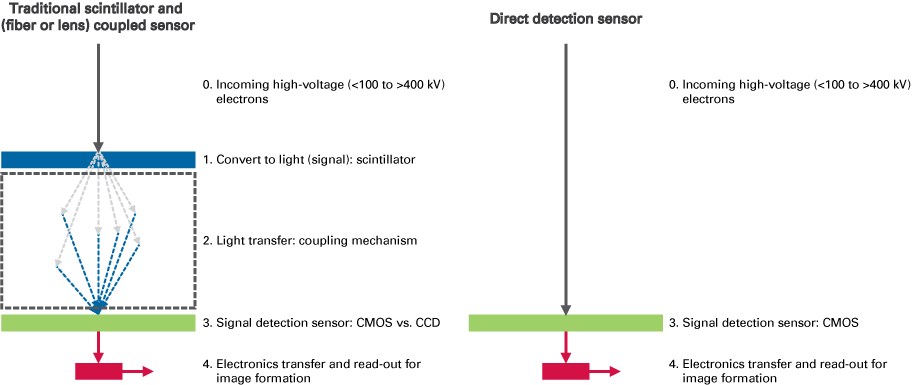Digital Imaging | Gatan, Inc.