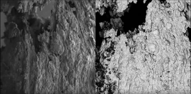 DigiScan IIシステム | Gatan, Inc.